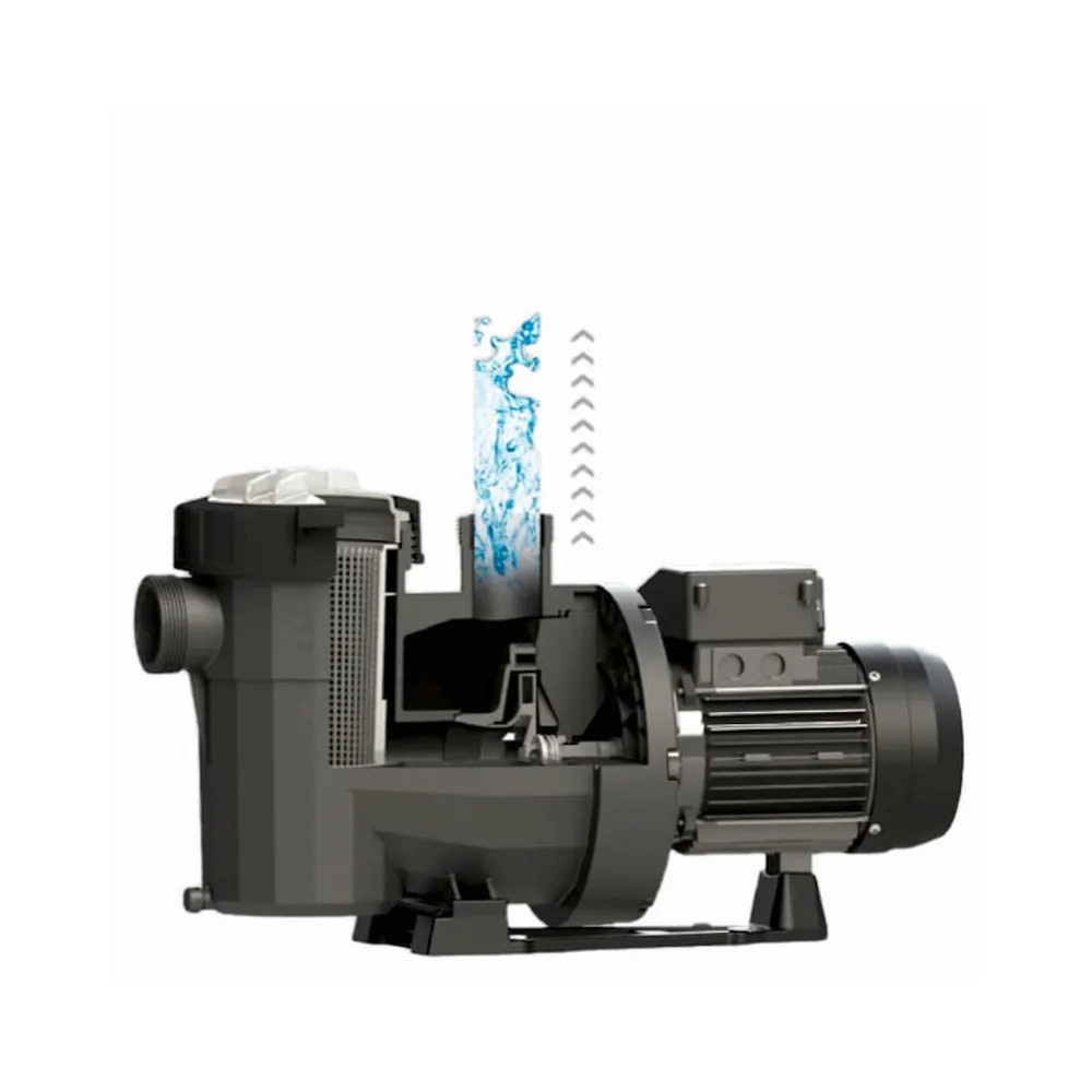 Pool filtration pump - VICTORIA plus silent
